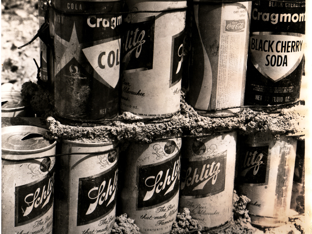 Journey: 1970 - Earthship Biotecture