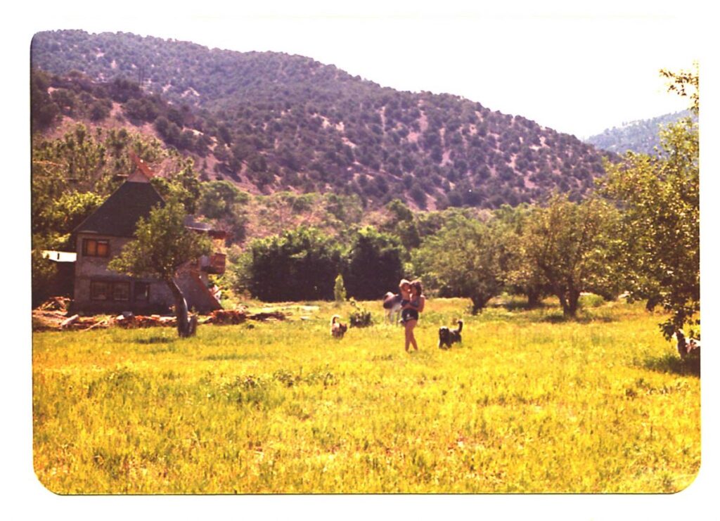 Journey: 1971 - Earthship Biotecture