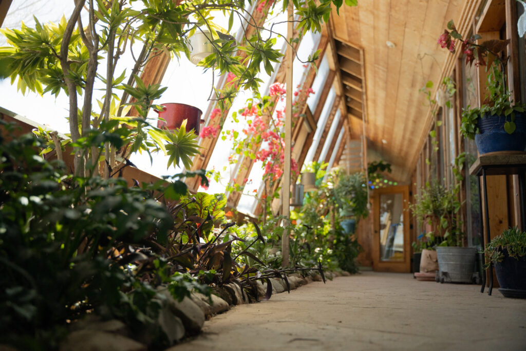 Visit - Earthship Biotecture